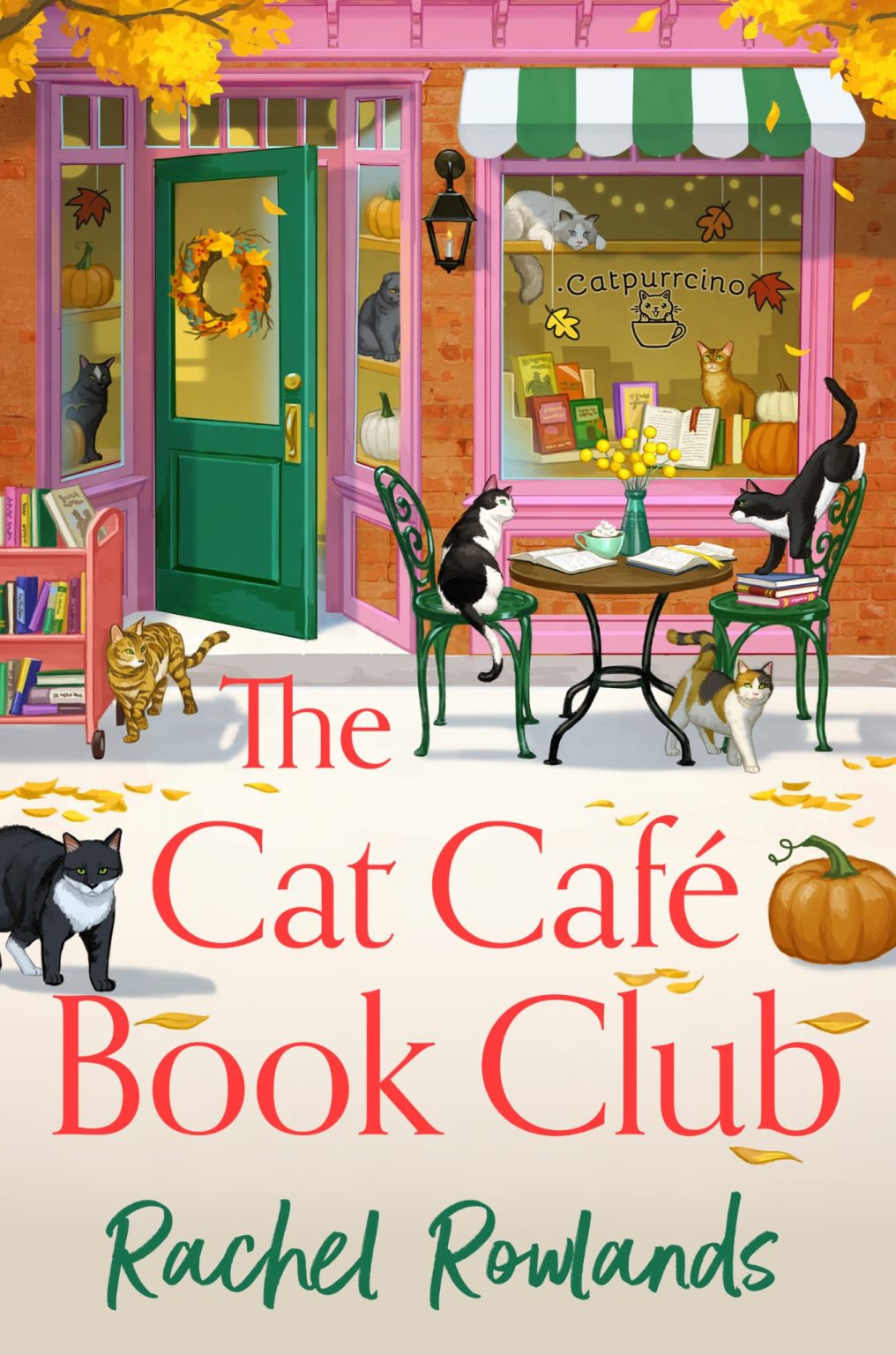 What does a book editor do? | Rachel Rowlands, Book Editor & Author